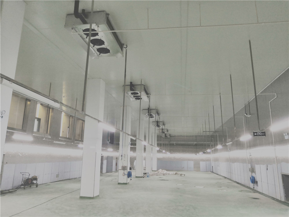 Waterproof Logistics Cold Storage Ukuran Disesuaikan Ruang Dingin Besar